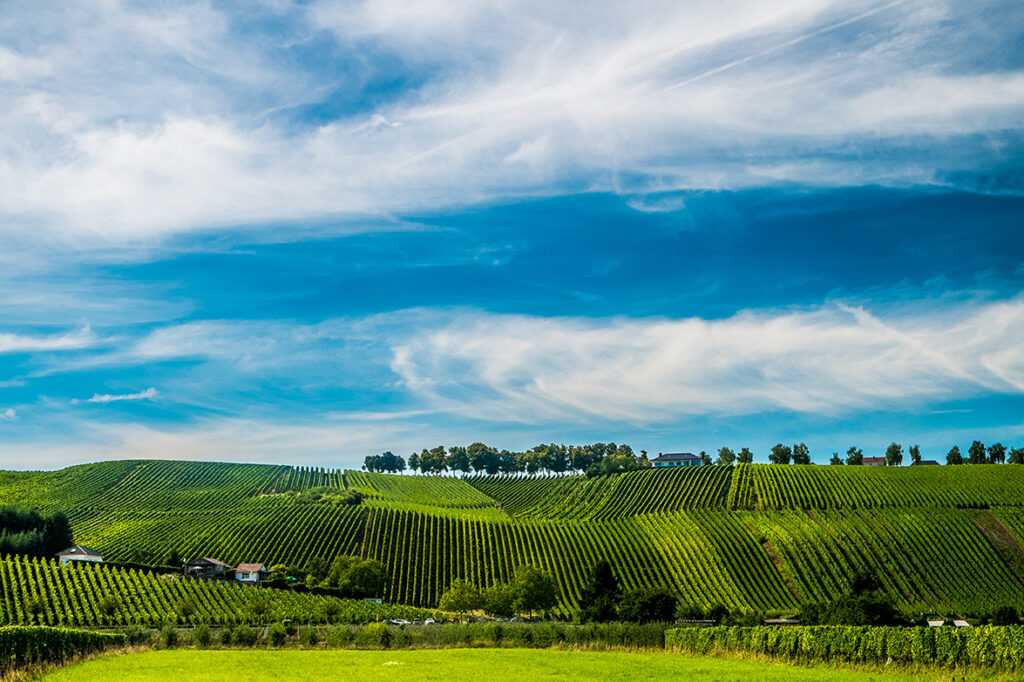 Living in Remich, in the heart of the wine region - atHome Blog